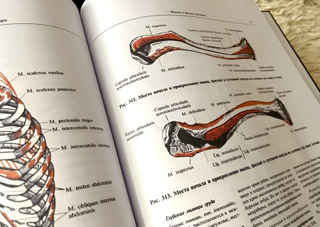 Atlas anatomiya/Атлас анатомия узб и русс