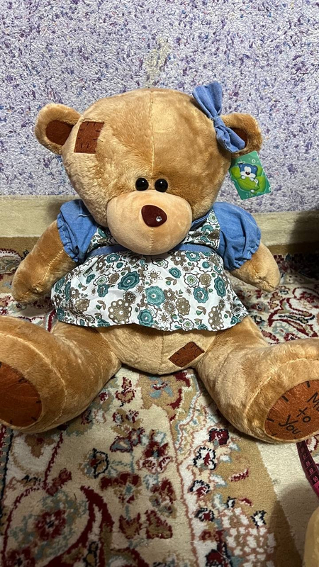 Teddy ayiqchalar