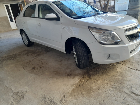 Cobalt Мошин идеал йанги