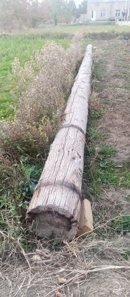 Bolor stalba. 8.50 metr