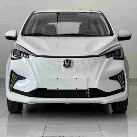 Changan ben ben e-star dogovornaya