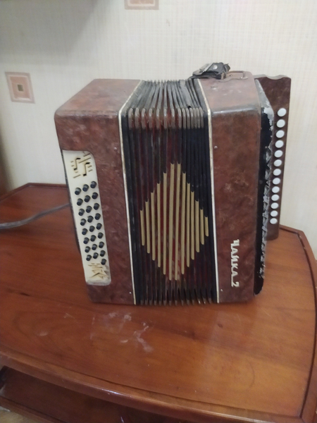 Продаётся Гармонь чайка 2
