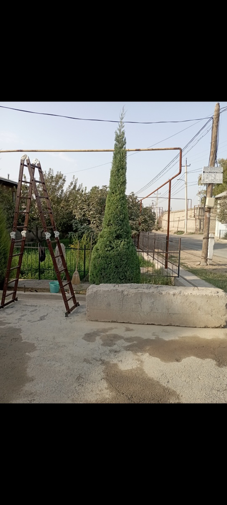Archa kesish ekish dorilash