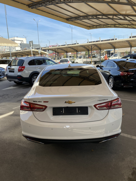 Malibu premier 2020