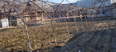 Karkaz-teplisa-parnik-issiqxona