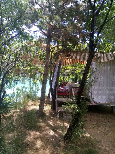 Dacha Sijjak! Oila va ulfatlar uchun
