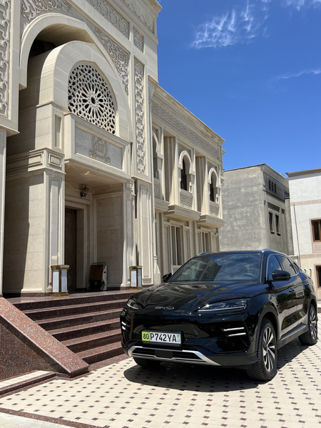 BYD CHempion full 2024 на заказ трансферные услуги