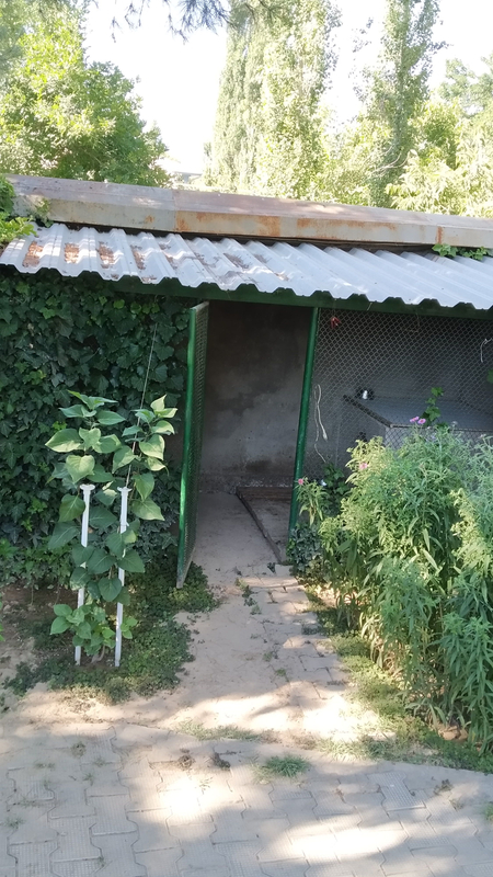 Продам дом в Янгибазаре