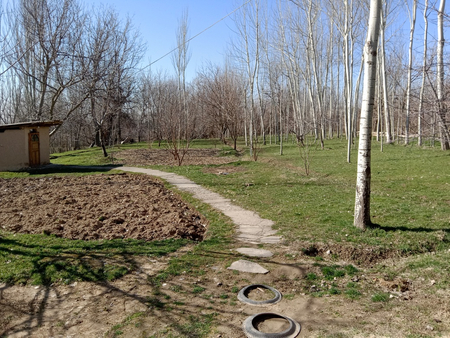 Dacha uchun yer bósyonliqda