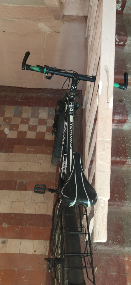 Velosiped Skillmax