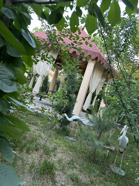 Dacha dam olish maskani