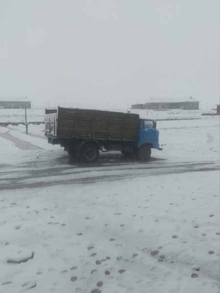 IFA V 50 Samarqand viloyati