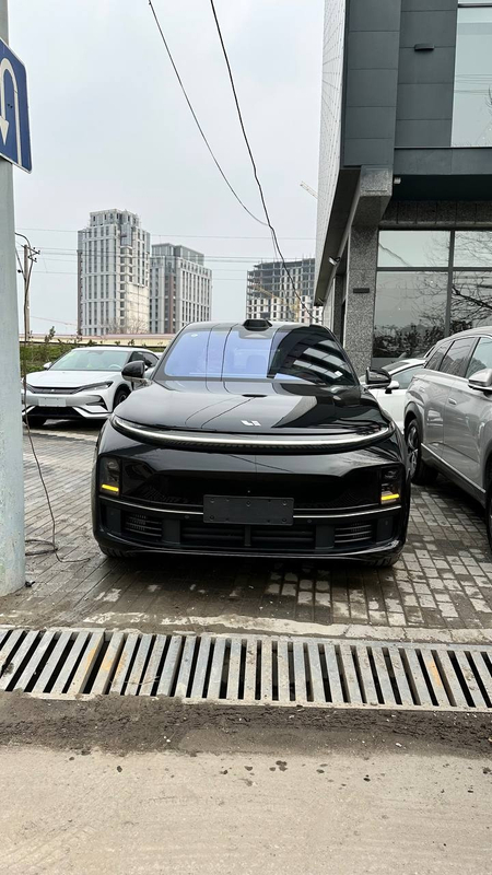 Li 7 max Full 2024