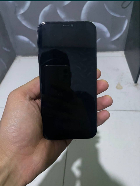 iphone 12pro ideal