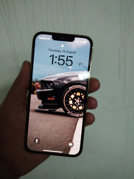 iPhone 13 Pro 256Gb Gold LL/A