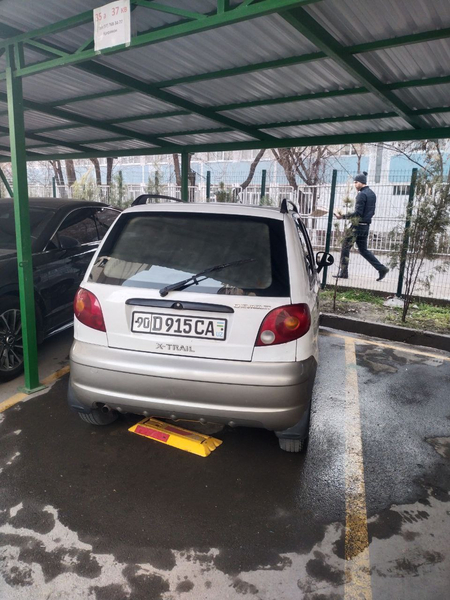 Holati alo yaxwi kamchlik yoq