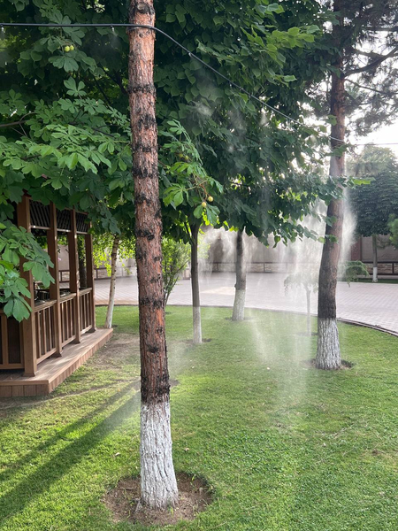 Setka va mikroklimat