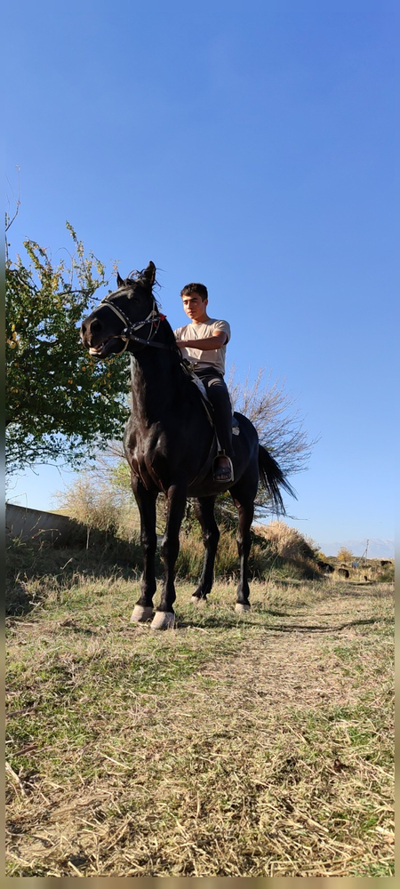 Ot bor narhi kelishamz