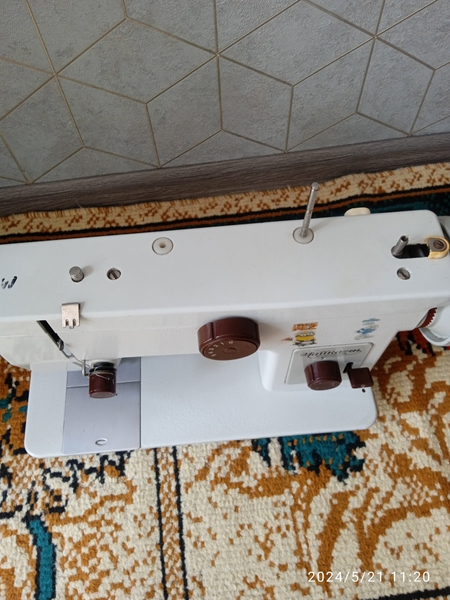Shveyni chayka134