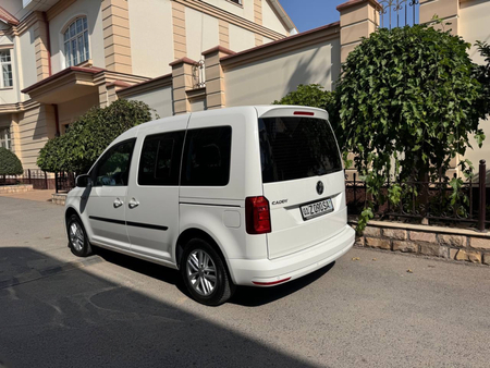 Caddy oq rang hamma joyi radnoy