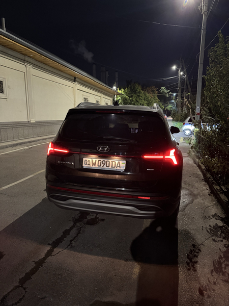 Hyundai Santafe 2022