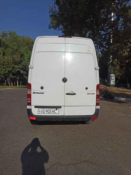 Sprinter 2010-yil