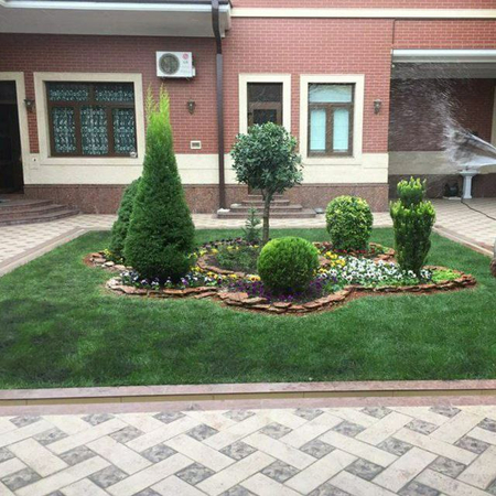 Gazon ekish xizmati