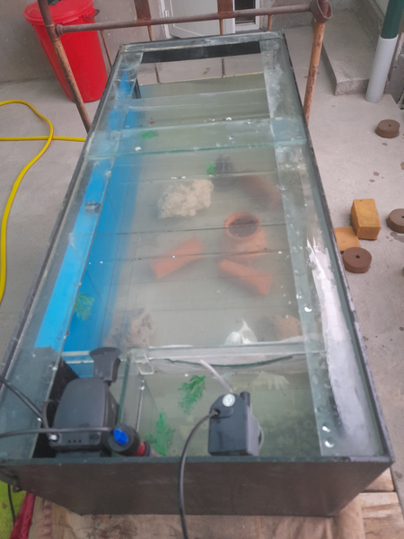 Аквариум  Akvarium