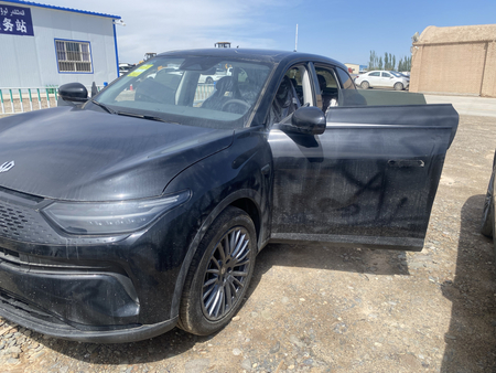 Leep Motor C11 Hybrid 1100km