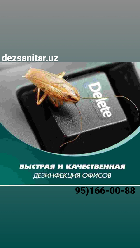Супер цена 100% Дезинфекция Дезинсекция dezinfeksiya dizinfeksiya