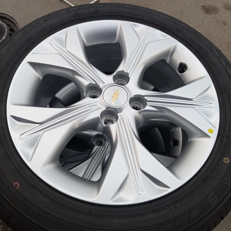 R16 Onex rodnoy yangi disk balon