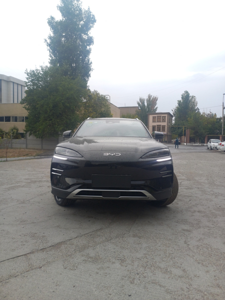 BYD chempion bez probeg