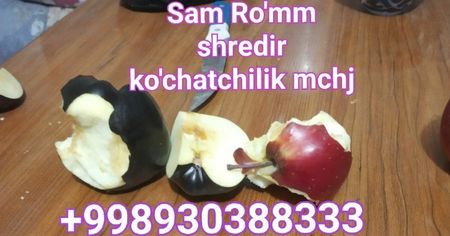 OLMA kuchat eng yangi sortlarimiz bor sortiga qonuniy kafolat beramiz