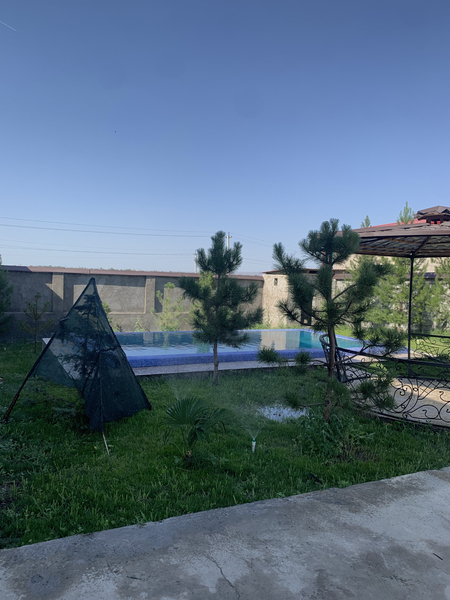 Dacha beramiz kunlik