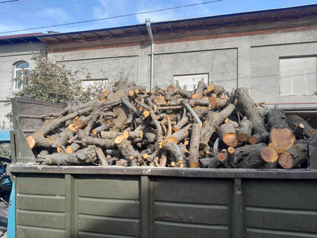 O'tin sotiladi olxori daraxti