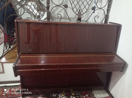 Pianino lastochka