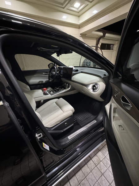 Denza X Performance (BYD & Mercades Benz)
