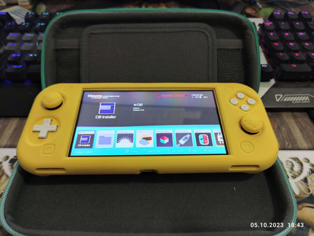 Nintendo Switch Lite прошитая