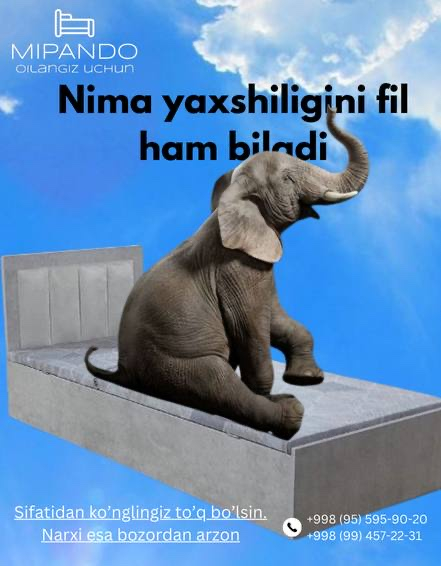 Kravat Mebel Matras.