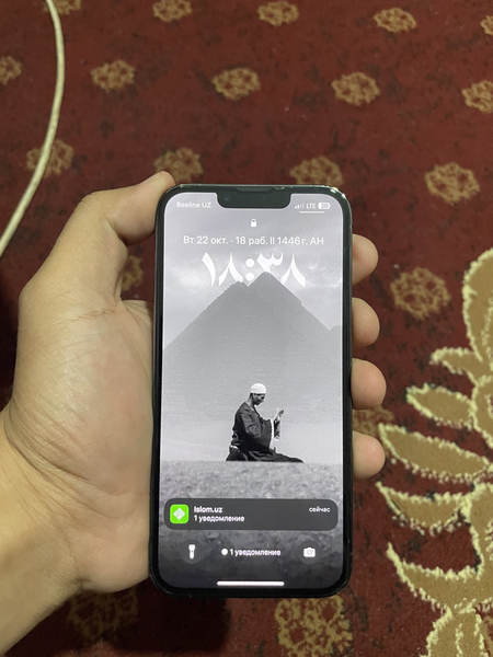 Iphone 13 pro srochno