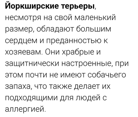 Йоркширский терьер