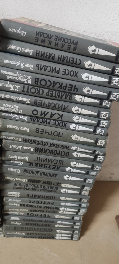 Книги Жизнь замечательных людей ЖЗЛ
