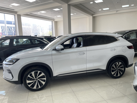 Byd Song Plus Champion