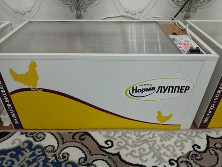 Норма луппер  сатилади