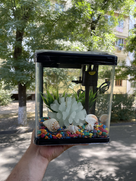 Akvarium Xitoy Mini