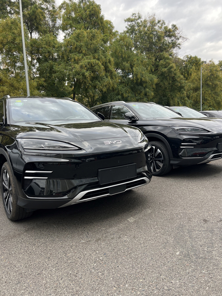 BYD Chempion Qora Restaylin 2025