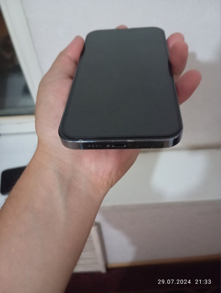 Iphone 13 pro max