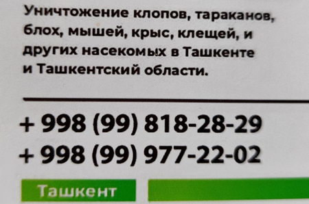 Дезинфекция. Уничтожение клопов, тараканов
