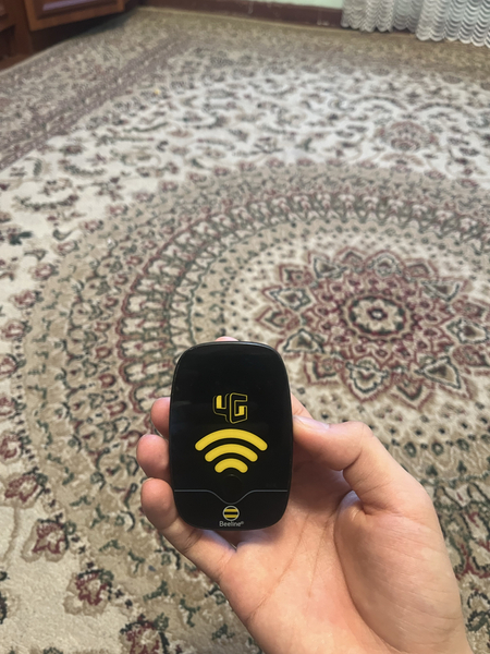 Beeline router karmanniy