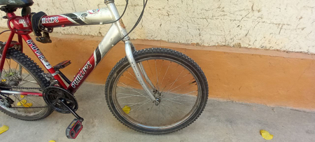 PHILLIPS Velosapedi